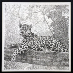 Stringometry Art Studio